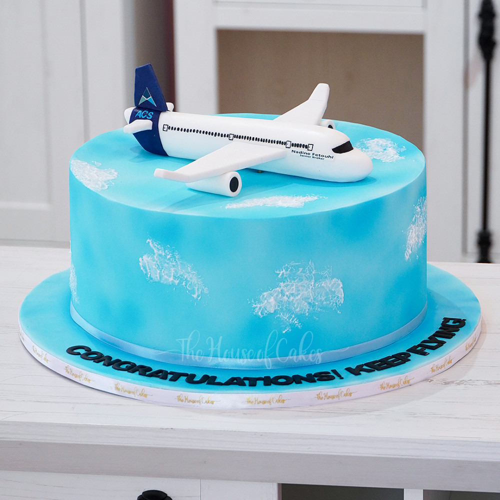 Plane cakes