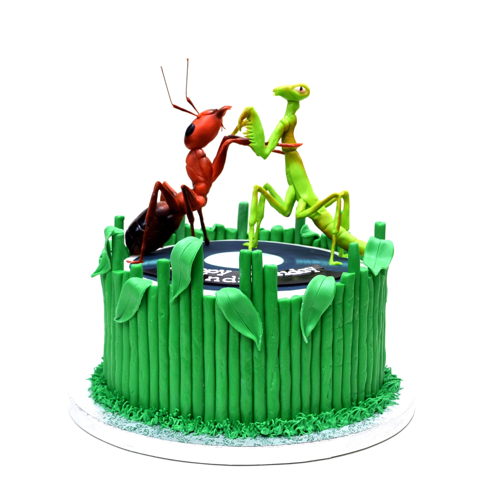 Cake with insects | Custom cakes | Cakes in Dubai