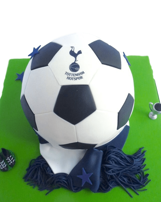 Tottenham Hotspur cake 1