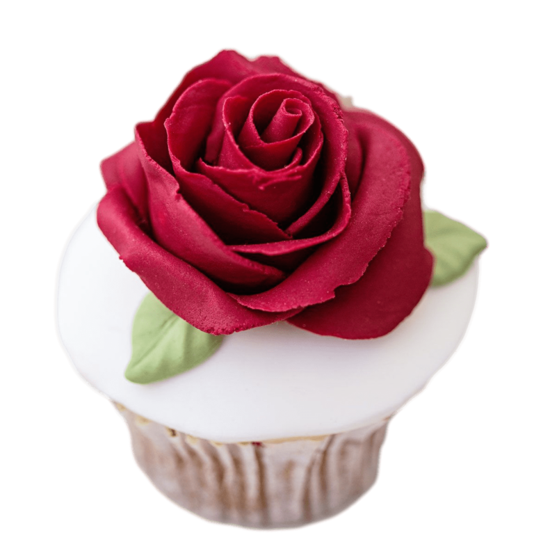 Female body cake
