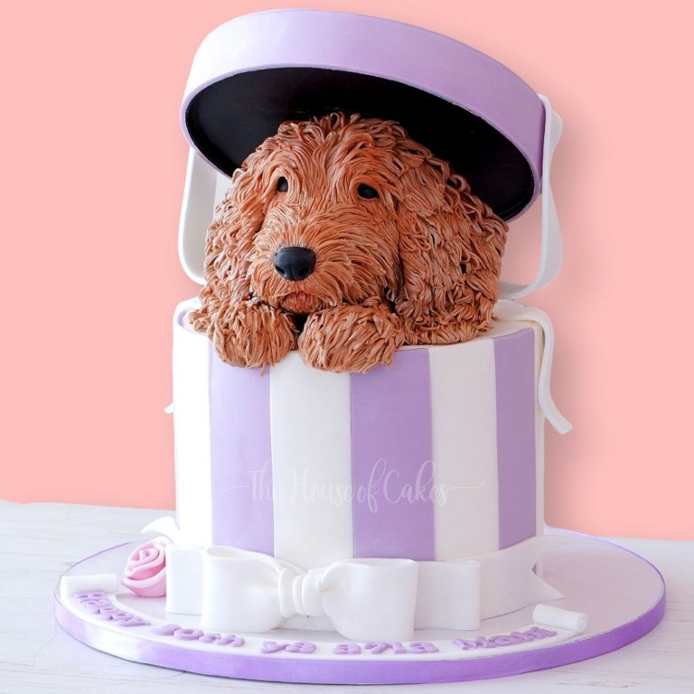 Dog in Box Cake - The House of Cakes Dubai