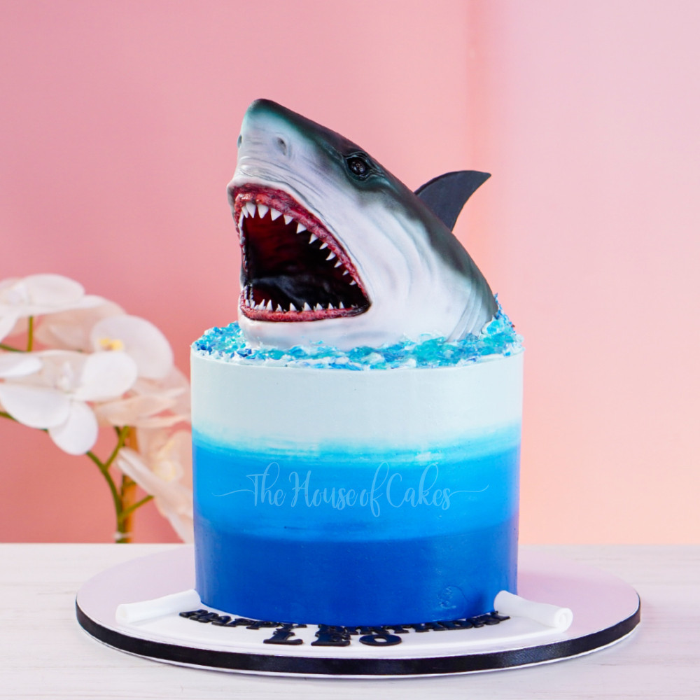 Shark Cake - The House of Cakes Dubai